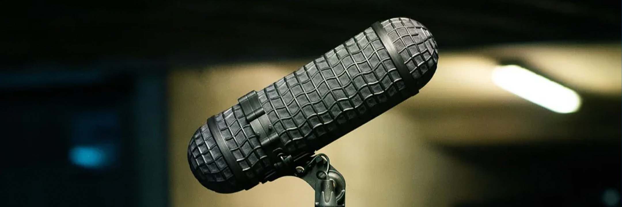 Radius Mini-Alto Windshields